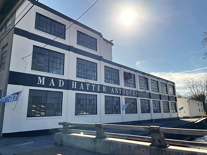 The imposing white facade of Mad Hatter Antiques stands like a time machine disguised as a warehouse. Step inside and prepare to lose track of hours!