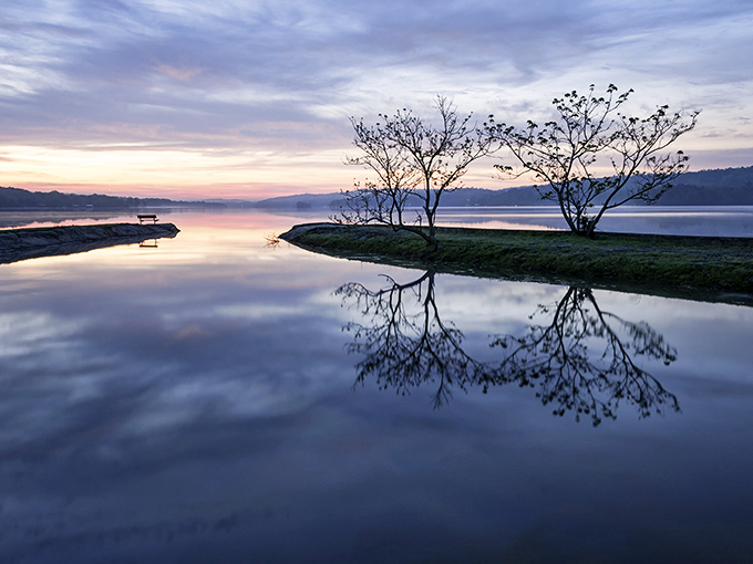 Dawn breaks over Beaverfork Lake like nature's own watercolor painting, where the trees and sky perform their daily mirror dance.