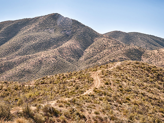 The winding trails of Oracle State Park beckon like nature's invitation card. Those mountains aren't just scenery&mdash;they're your next adventure waiting to happen.