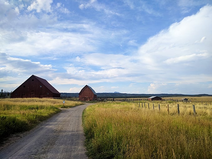 The quintessential Idaho landscape &ndash; golden meadows, rustic barns, and endless sky. This is what postcards dream of becoming when they grow up.