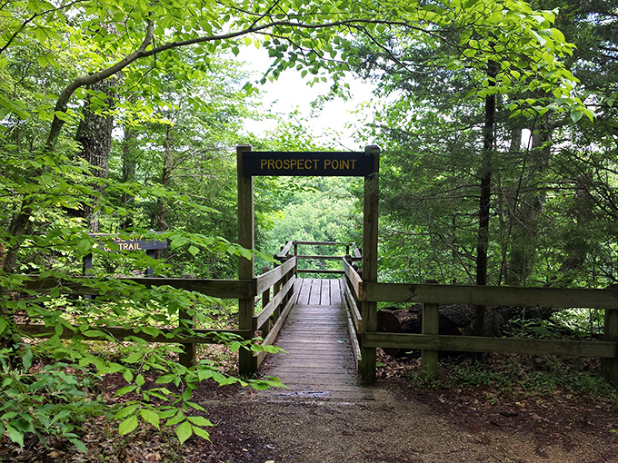 Prospect Point beckons like nature's own welcome mat. Those wooden steps lead to panoramic vistas that Instagram filters couldn't improve if they tried.