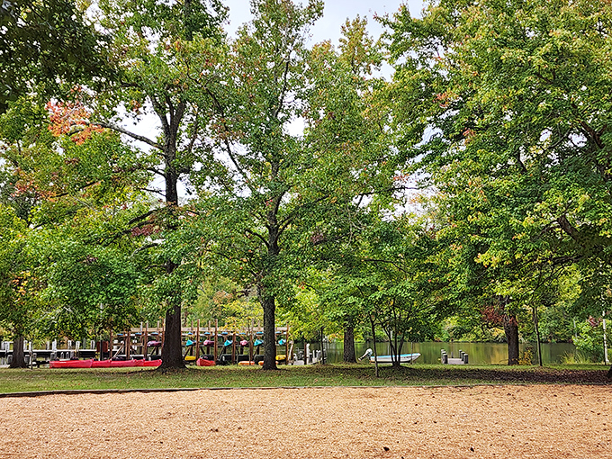 Mother Nature's mirror game is unbeatable here, where the sky and trees create perfect reflections that would make Narcissus jealous. 