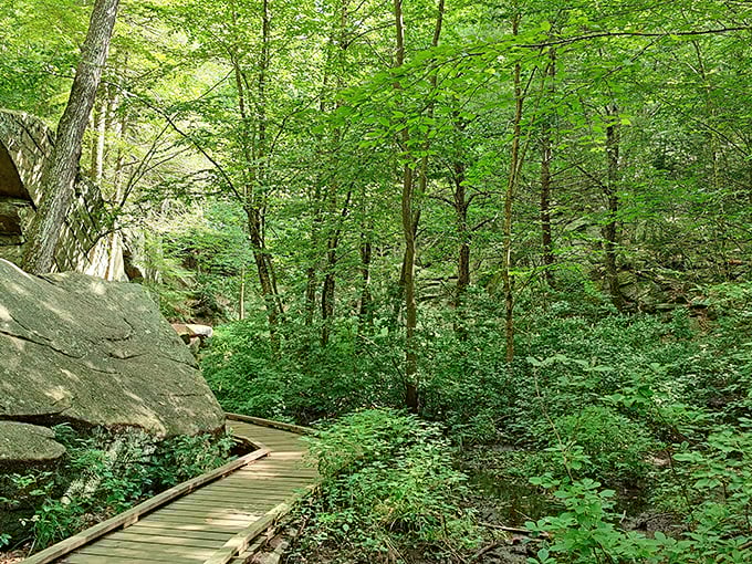 Explore the lush greenery and towering rocks at Purgatory Chasm State Reservation as your journey continues along this peaceful woodland boardwalk.