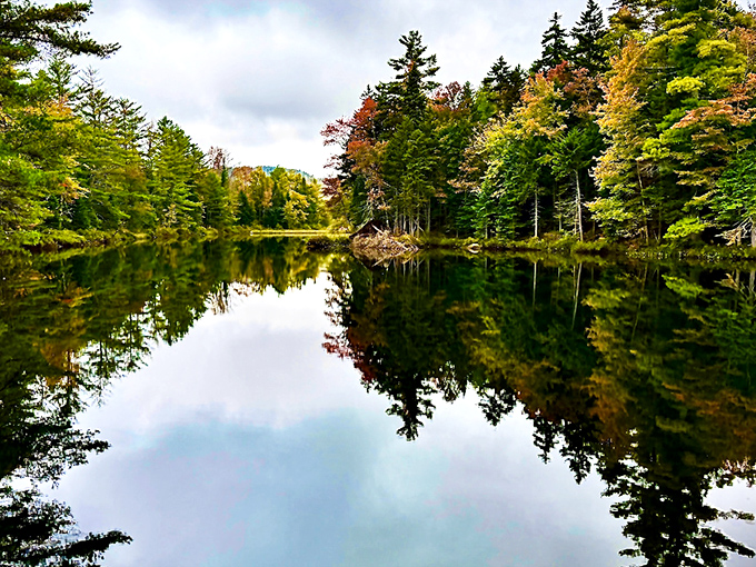 Mirror, mirror on the pond! Pillsbury's glassy waters create perfect reflections of autumn's fiery palette, nature's own Instagram filter at work. 