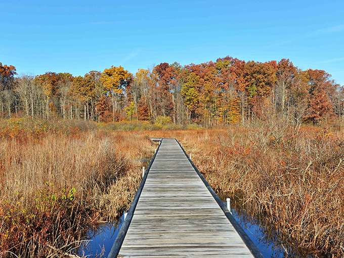 Mirror-like waters reflect autumn's fiery palette at Punderson Lake, where nature doubles its show for free. Mother Nature showing off again!