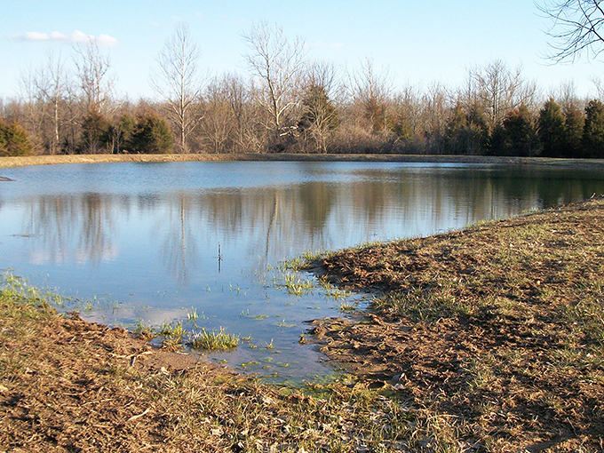 Mirror-like waters invite contemplation at one of Sycamore's serene fishing ponds. Nature's own infinity pool, minus the resort prices.