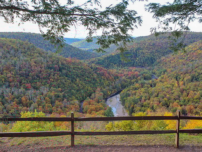 The rocky shores of Loyalsock Creek invite you to dip your toes or skip stones. Nature's playground doesn't come with instructions, just endless possibilities.