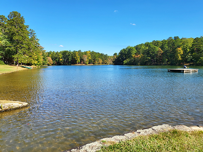 Fall's golden touch transforms Oconee's lake into nature's mirror, reflecting autumn's palette with a serenity that makes you forget deadlines even exist.