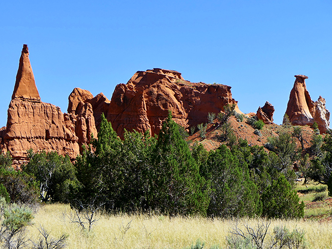 Nature's skyscrapers reach for that impossibly blue Utah sky, while juniper trees add splashes of green to this geological masterpiece.