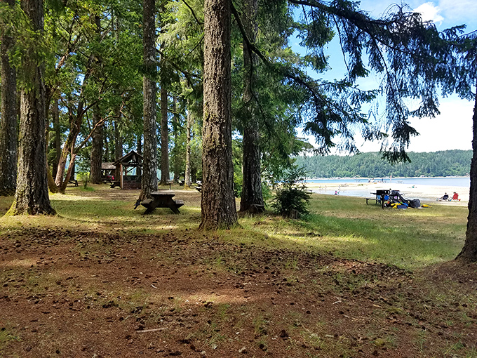 Where forest meets shoreline in perfect harmony. Towering evergreens stand guard over picnic tables, with Hood Canal's inviting waters just steps away.