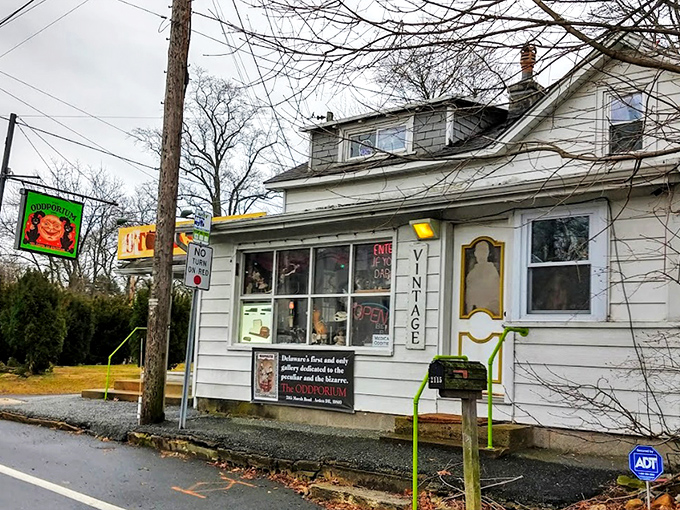 The unassuming exterior belies what waits inside &ndash; like finding Narnia in a closet, but with more taxidermy and fewer talking lions. 