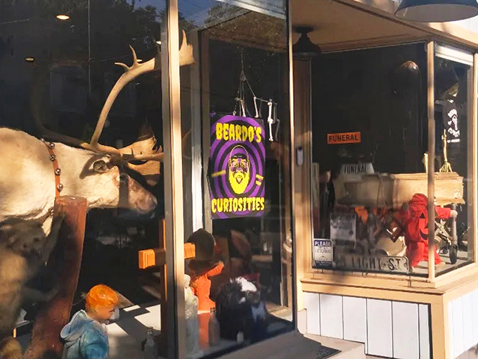 The turquoise facade of Beardo's Curiosities stands out like a beacon for the wonderfully weird, inviting the curious to step into Cincinnati's cabinet of oddities.