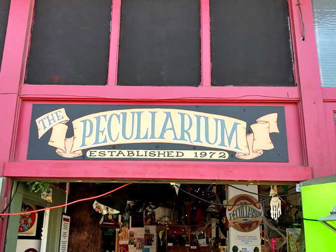 The lime green door to wonderland beckons from NW Thurman Street. Portland's oddest museum doesn't believe in subtle invitations.
