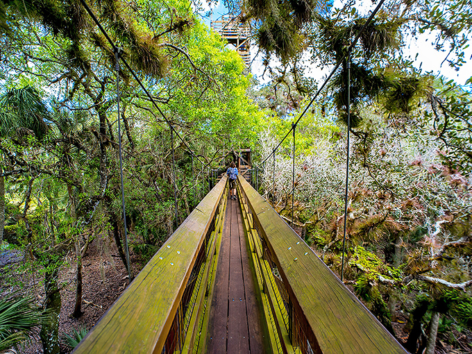 The suspended walkway stretches ahead like nature's welcome mat, inviting you to step into a world where trees, not humans, make the rules.