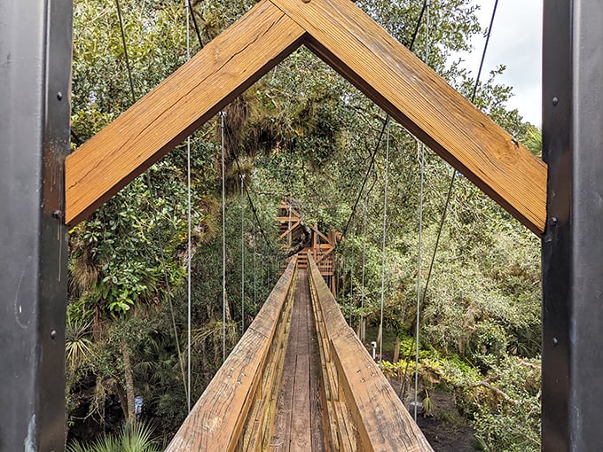 The suspended walkway stretches ahead like nature's welcome mat, inviting you to step into a world where trees, not humans, make the rules.
