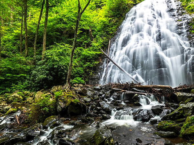 Nature's own water feature&mdash;Crabtree Falls cascades down ancient rock faces like liquid crystal, catching sunlight in ways no home fountain could ever dream of matching.