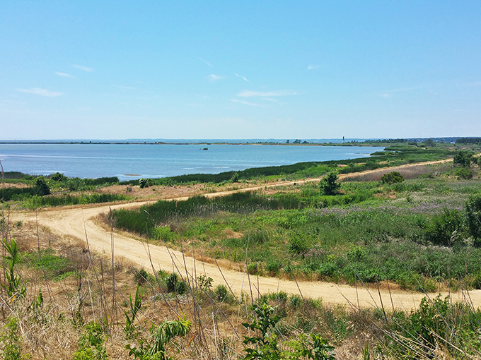 Hart-Miller Island beckon like a Caribbean getaway, minus the passport requirements and overpriced resort drinks.