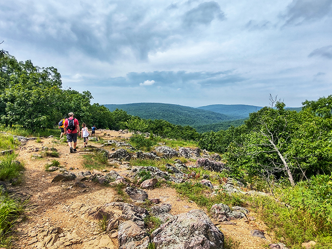 The winding path whispers promises of adventure ahead. Nature's welcome mat stretches through a sunlight-dappled forest that feels worlds away from everyday life.