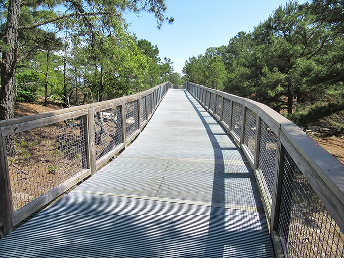 The elevated boardwalk stretches into the distance like a runway to nature's greatest show, inviting explorers of all abilities to venture deeper into Cape Henlopen's wild beauty.