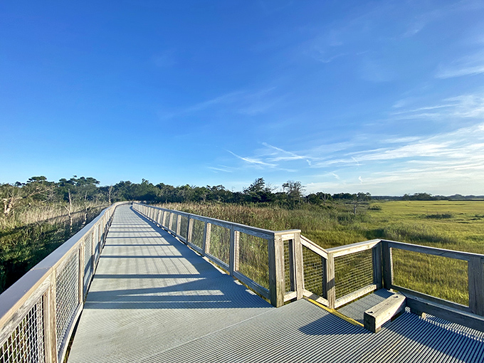 The elevated boardwalk stretches into the distance like a runway to nature's greatest show, inviting explorers of all abilities to venture deeper into Cape Henlopen's wild beauty.