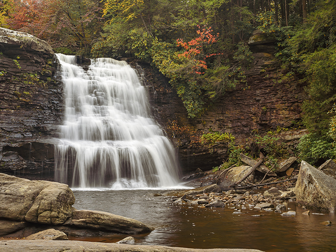 Nature's perfect cascade moment – Muddy Creek Falls delivers a 53-foot spectacle that makes you wonder why anyone bothers with screensavers anymore.