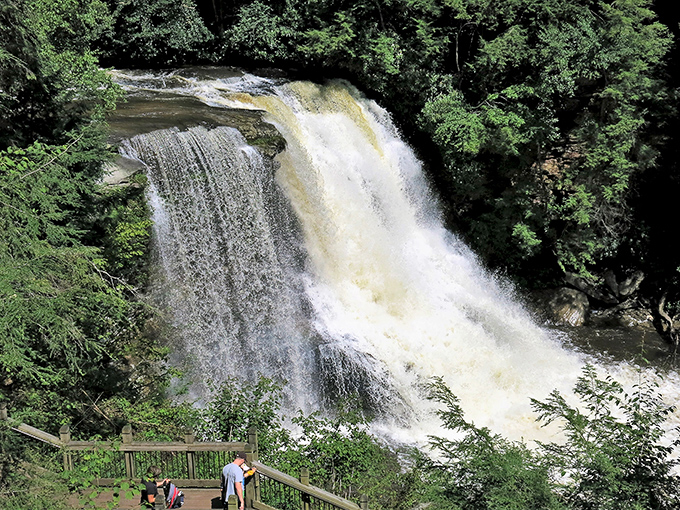 Nature's perfect cascade moment &ndash; Muddy Creek Falls delivers a 53-foot spectacle that makes you wonder why anyone bothers with screensavers anymore.