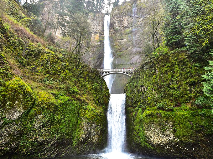 The classic view of Multnomah Falls that makes you wonder if Mother Nature took a landscape architecture class. Pure Pacific Northwest magic.