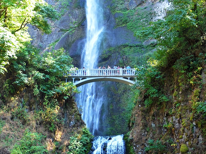 The classic view of Multnomah Falls that makes you wonder if Mother Nature took a landscape architecture class. Pure Pacific Northwest magic
