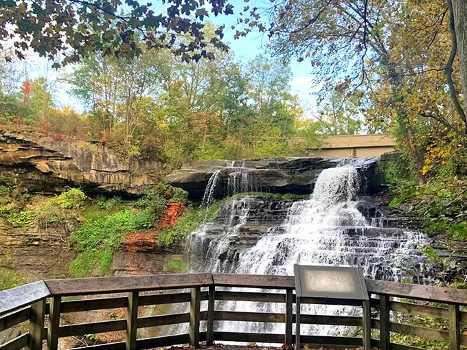 The boardwalk beckons through towering trees, promising the waterfall reveal that makes even seasoned travelers gasp. Nature's red carpet treatment, Ohio-style.