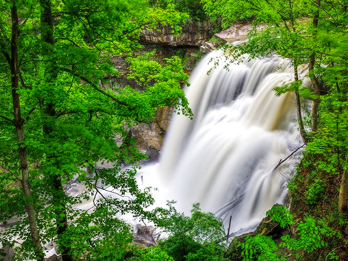 The boardwalk beckons through towering trees, promising the waterfall reveal that makes even seasoned travelers gasp. Nature's red carpet treatment, Ohio-style. 