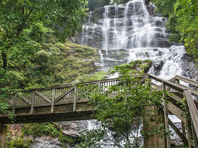 Nature's own water feature doesn't come with an off switch. Amicalola's 729-foot cascade commands attention year-round, making Instagram filters completely unnecessary.