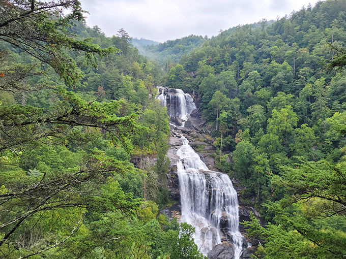Nature's masterpiece on full display&mdash;Whitewater Falls cascades 811 feet through lush Appalachian forest, creating a scene worthy of the most ambitious landscape painting.