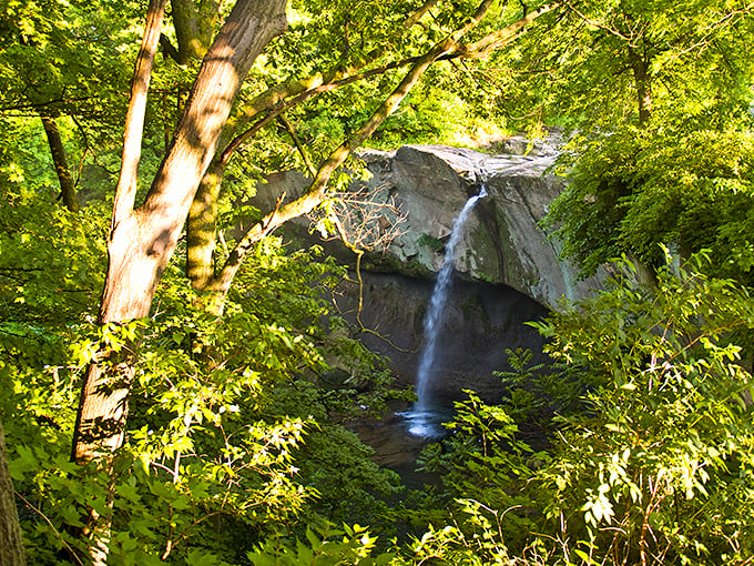 Nature's masterpiece in full display. The 84-foot cascade of Williamsport Falls plunges dramatically between limestone cliffs, creating Indiana's tallest free-falling waterfall spectacle.