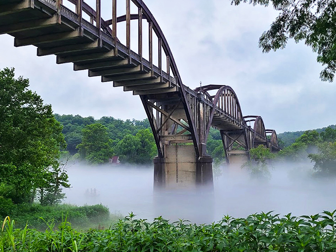 Fog embraces the bridge's grand arches like a Stephen King novel come to life. Perfect backdrop for those "I survived the creepy bridge" selfies.