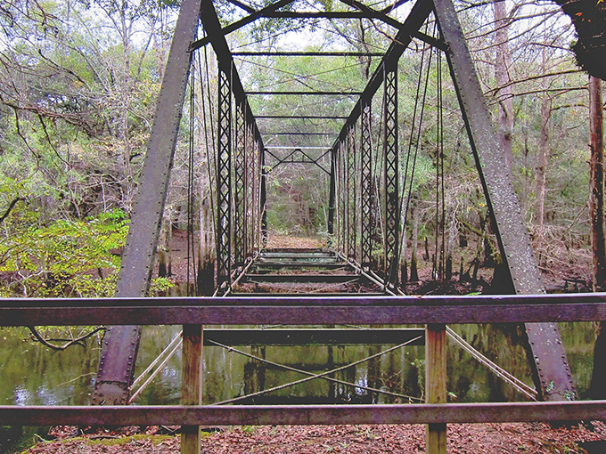 The rusted skeleton of Bellamy Bridge stretches across the Chipola River like an iron dinosaur that forgot to evolve. History and hauntings included at no extra charge.