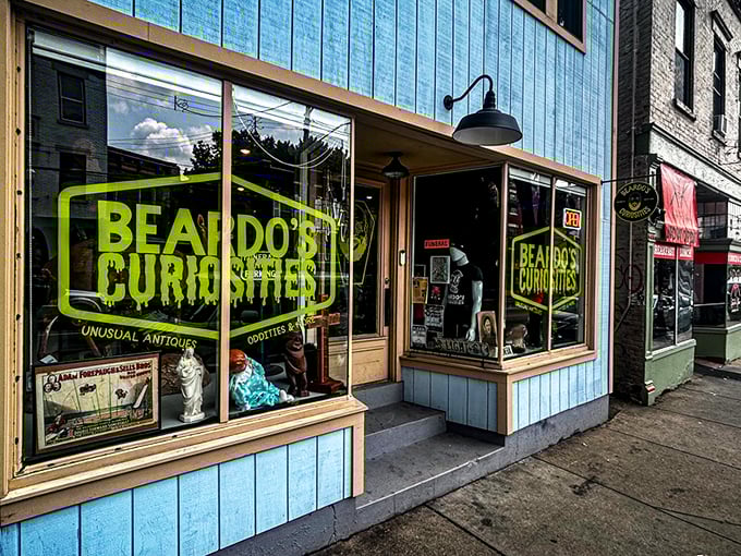 The turquoise facade of Beardo's Curiosities stands out like a beacon for the wonderfully weird, inviting the curious to step into Cincinnati's cabinet of oddities.
