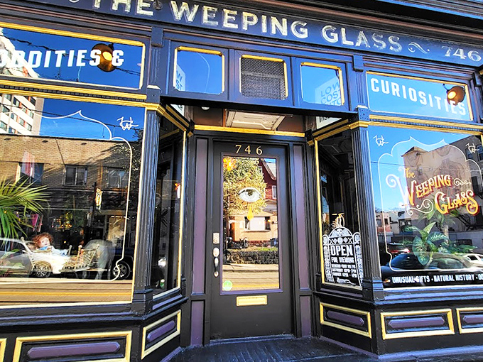 The striking blue Victorian fa&ccedil;ade of The Weeping Glass beckons curious passersby with gold lettering that promises "ODDITIES" and "CURIOSITIES" &ndash; an invitation few can resist.