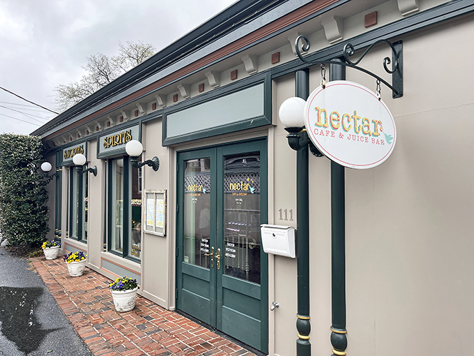 The unassuming storefront of Nectar Cafe & Juice Bar beckons like a culinary lighthouse on Lewes' shore, promising delicious refuge from ordinary dining experiences.
