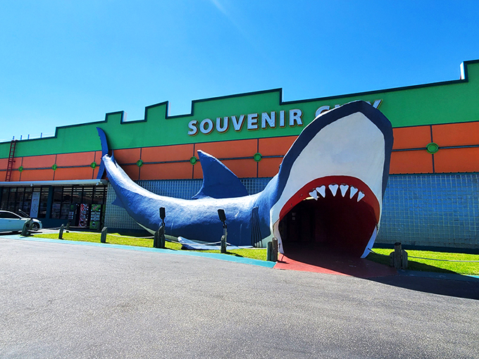 The iconic shark entrance at Souvenir City isn't subtle&mdash;it's vacation architecture at its finest. Walking through those jaws is practically a Gulf Shores rite of passage!