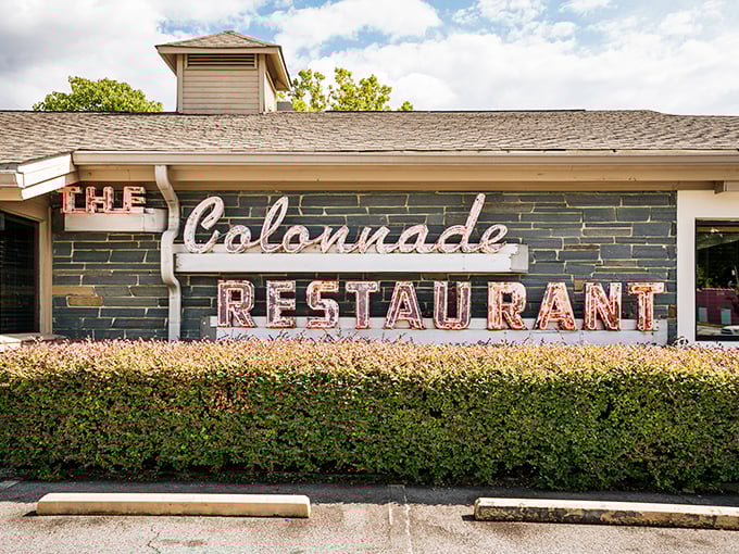 The unassuming exterior of The Colonnade belies the culinary treasures within. Atlanta's fried chicken sanctuary has been drawing devotees for decades.
