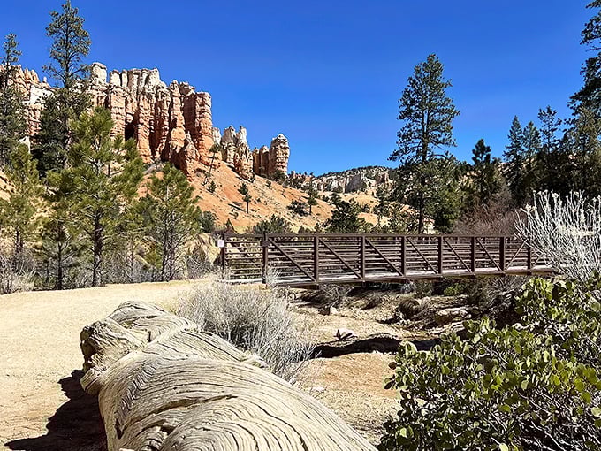 Nature's perfect welcome mat: a rustic wooden bridge leading to towering hoodoos that look like they've been painted by a sunset-obsessed artist.