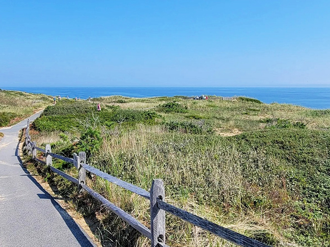 The path opens to reveal the Atlantic's vast blue expanse—a perfect reward after your forest wanderings through this Cape Cod gem.