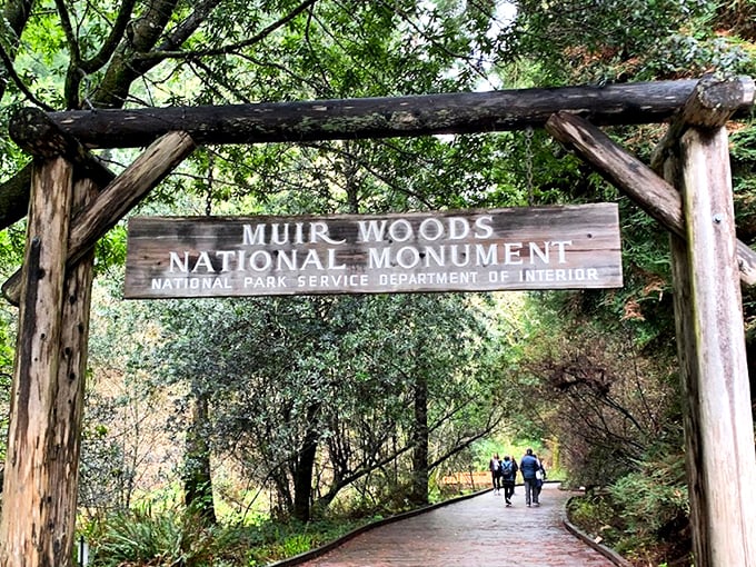The iconic entrance to Muir Woods welcomes hikers with rustic charm and the promise of ancient redwoods waiting just beyond the wooden archway.