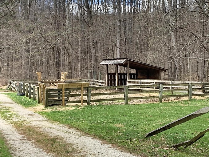 Historic log cabins nestled among bare trees tell stories of pioneer life, creating an open-air time machine just steps from the trail.