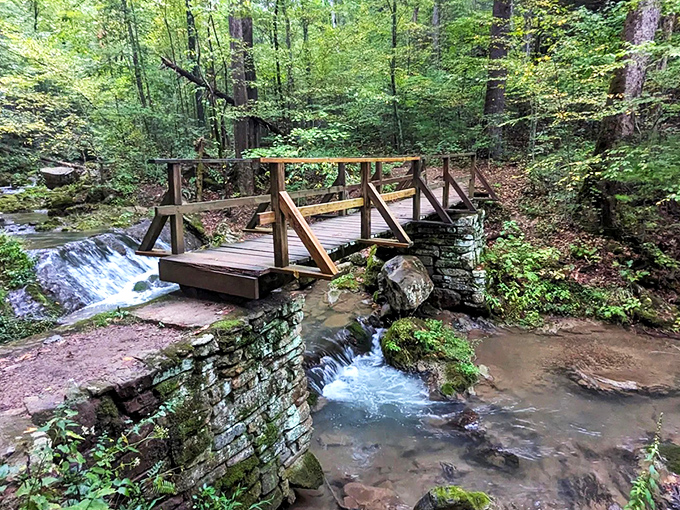 The wooden footbridge seems to whisper, "Adventure this way!" Nature's perfect gateway connecting civilization to wilderness at Roaring Run.