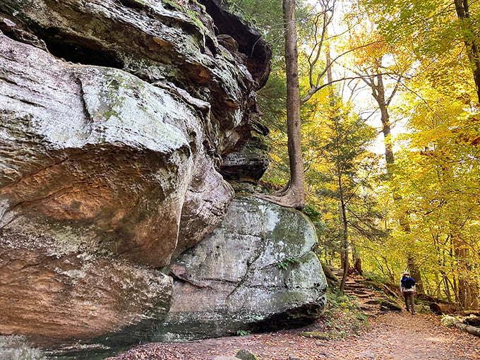 Nature's welcome mat unfurls before you on Ledges Trail, where sunlight plays hide-and-seek through the canopy and adventure beckons around every bend.