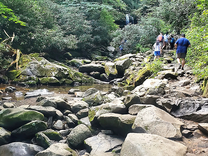 Nature's perfect symphony in motion - rushing water carving through ancient stone as sunlight filters through a green canopy. Tennessee's Great Smoky Mountains at their most poetic.