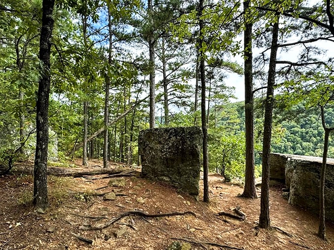 Nature's architectural remnants stand sentinel along the trail, offering glimpses of history amid the towering pines and distant valley views.