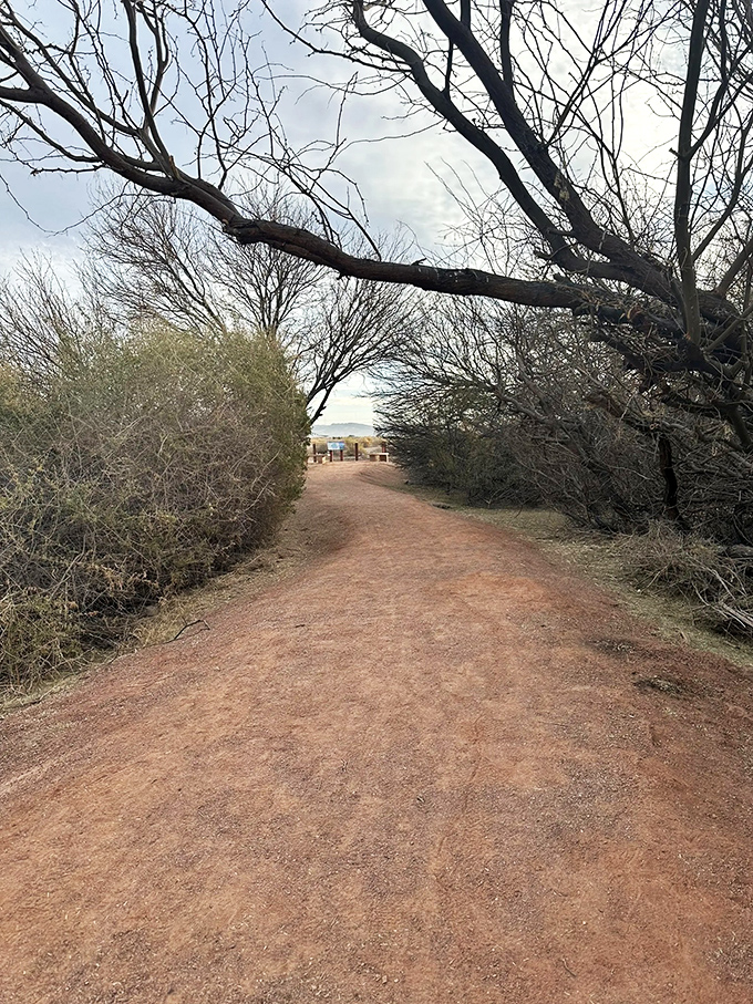 The path less traveled beckons with desert whispers. Nature's hallway, framed by mesquite and brush, invites you into Vegas's secret garden.