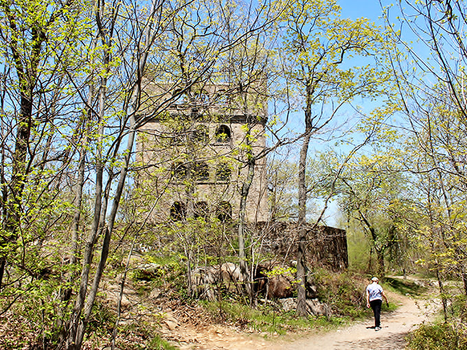 Fall's golden touch transforms the Tower Trail into nature's runway, where even the most casual hiker becomes a woodland fashionista.